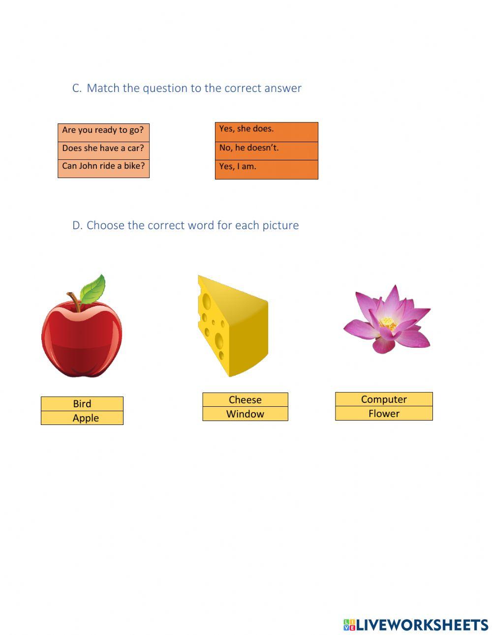 English exercises online activity for 2-3 | Live Worksheets