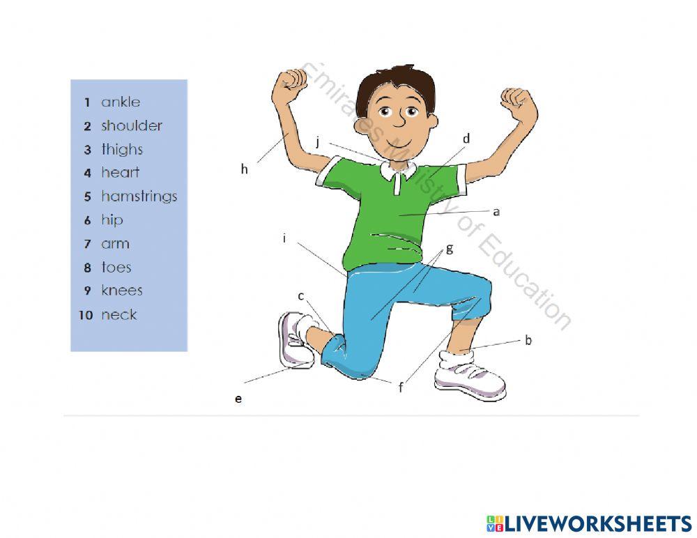 Body Part Access 6 worksheet | Live Worksheets