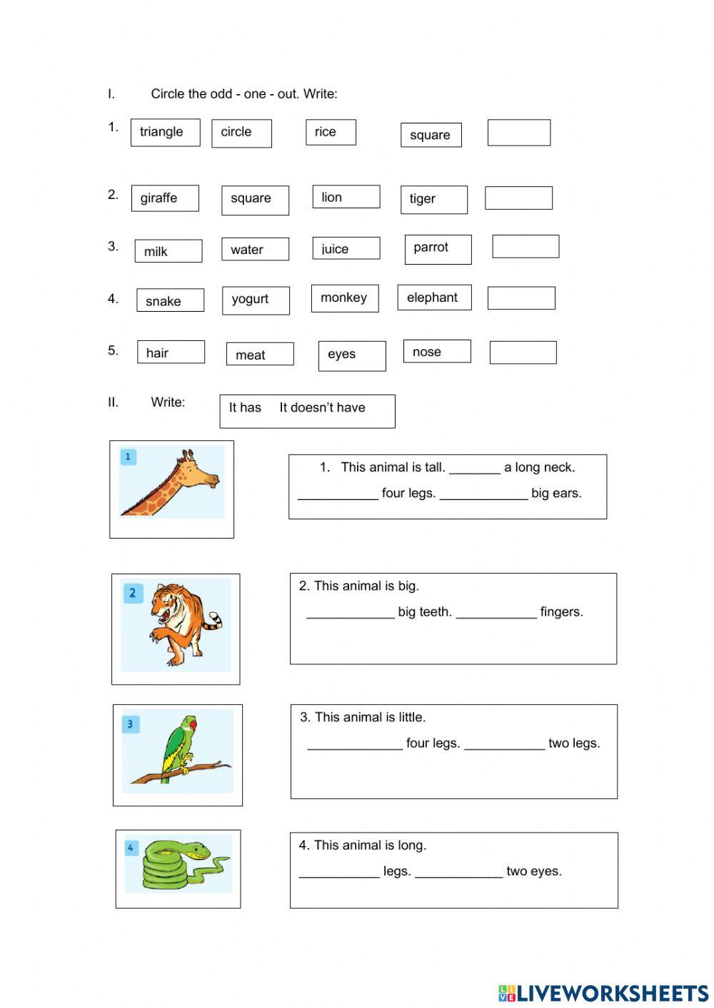 Review 4 English language worksheet | Live Worksheets