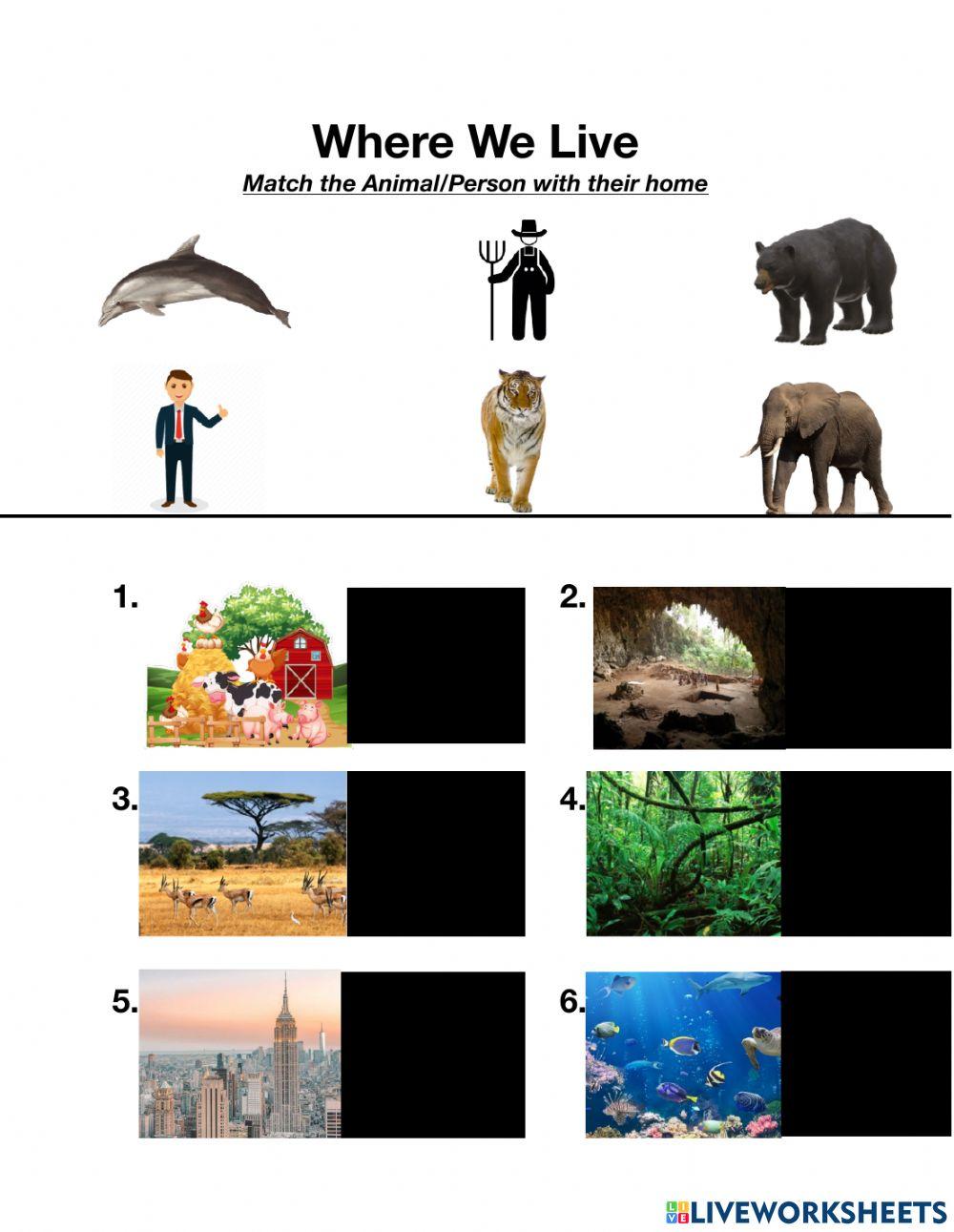 Where we live 1487385 | KatiePhelps | Live Worksheets