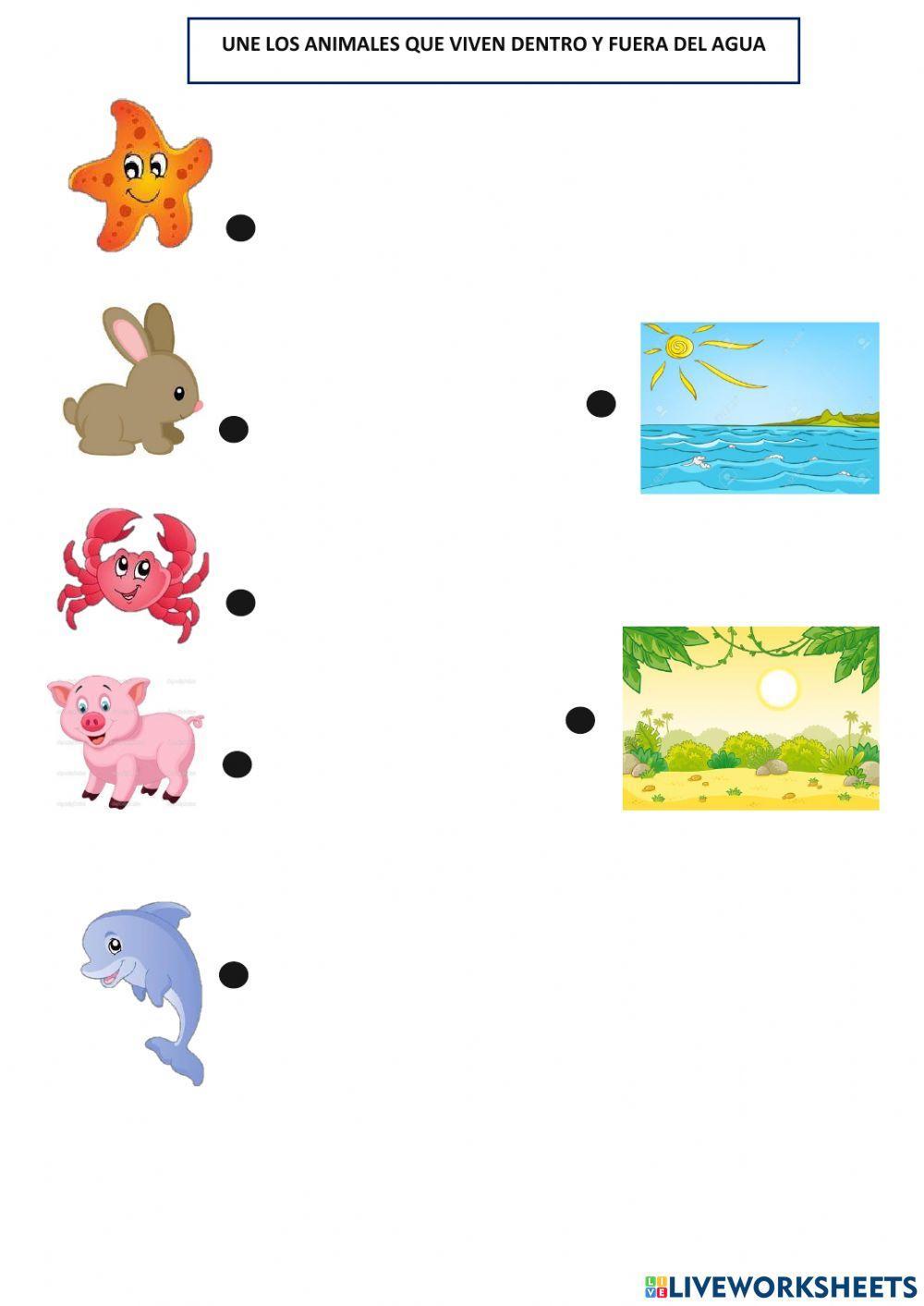 Dentro y fuera exercise | Live Worksheets