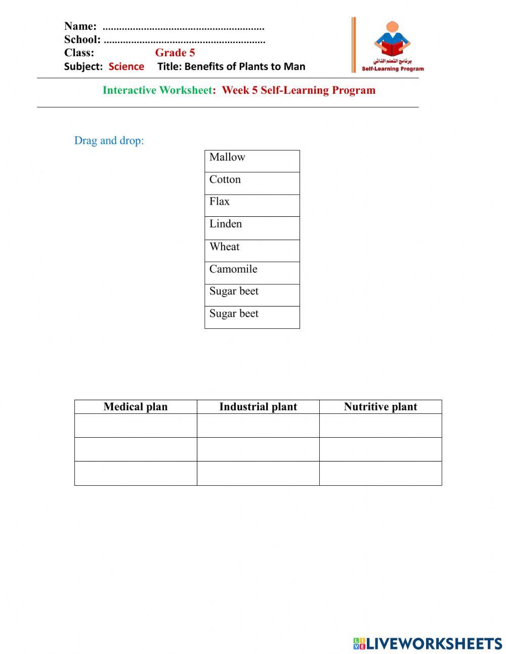 W6 - G5 - Sc. - Int. WS worksheet | Live Worksheets