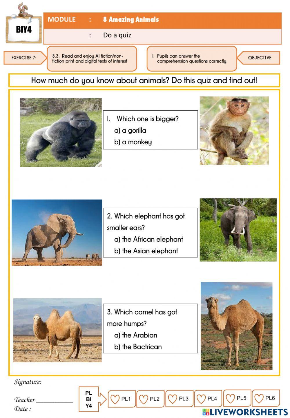 7-10 Year 4 Module 8 worksheet | Live Worksheets