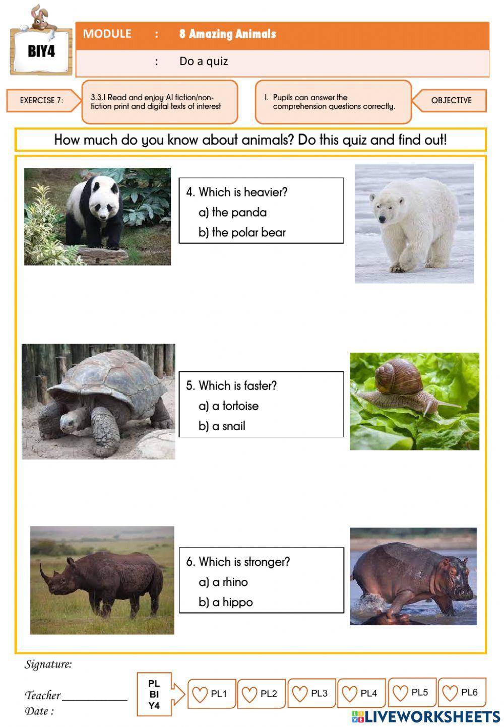 7-10 Year 4 Module 8 worksheet | Live Worksheets