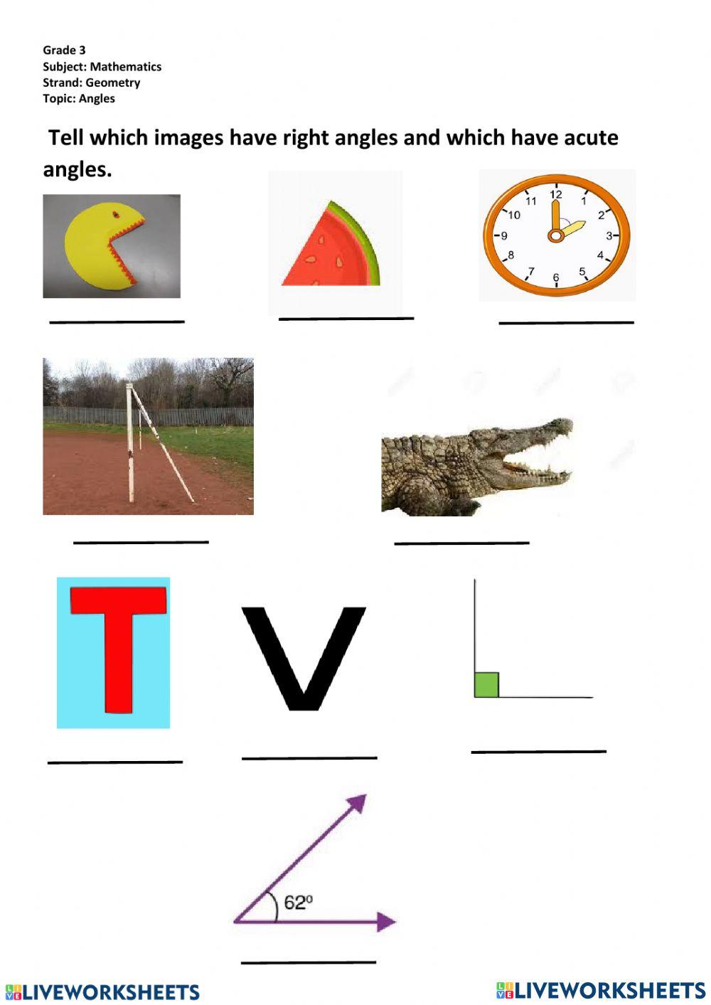 TYPES OF ANGLES 1 6736973 | mrs_stewart | Live