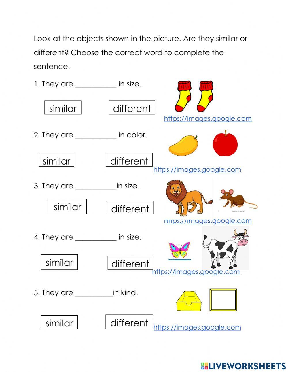 Grouping of Objects worksheet | Live Worksheets