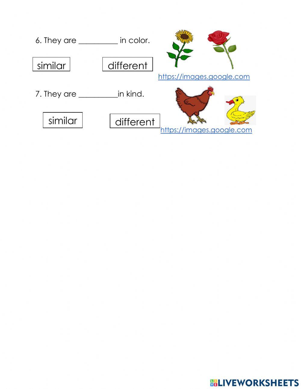 Grouping of Objects worksheet | Live Worksheets
