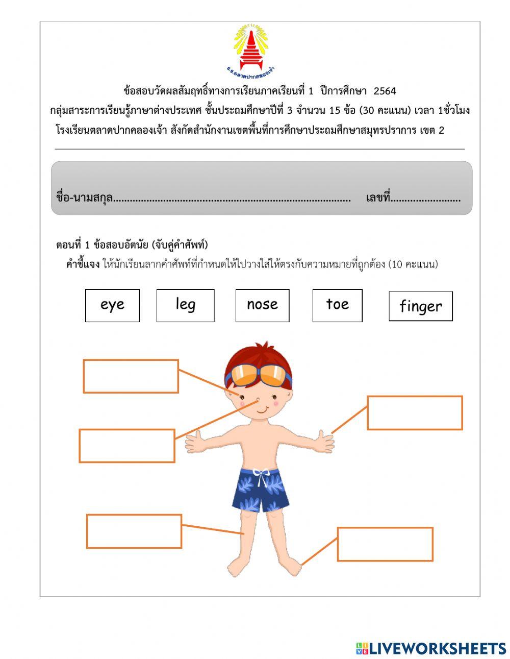 English Test For Grade 3 worksheet | Live Worksheets