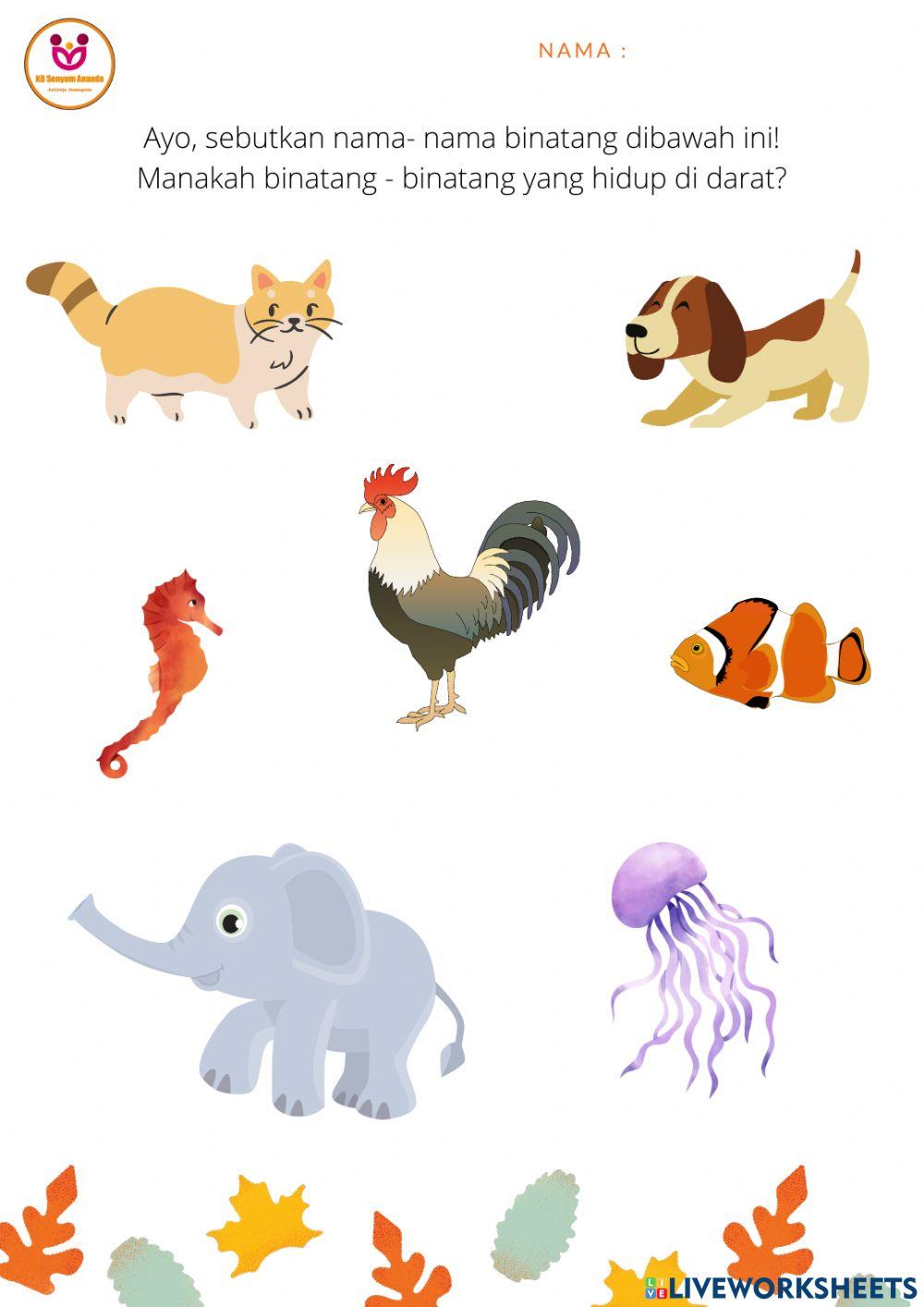 Mengenal Binatang 1 1492868 | KB Senyum Ananda | Live