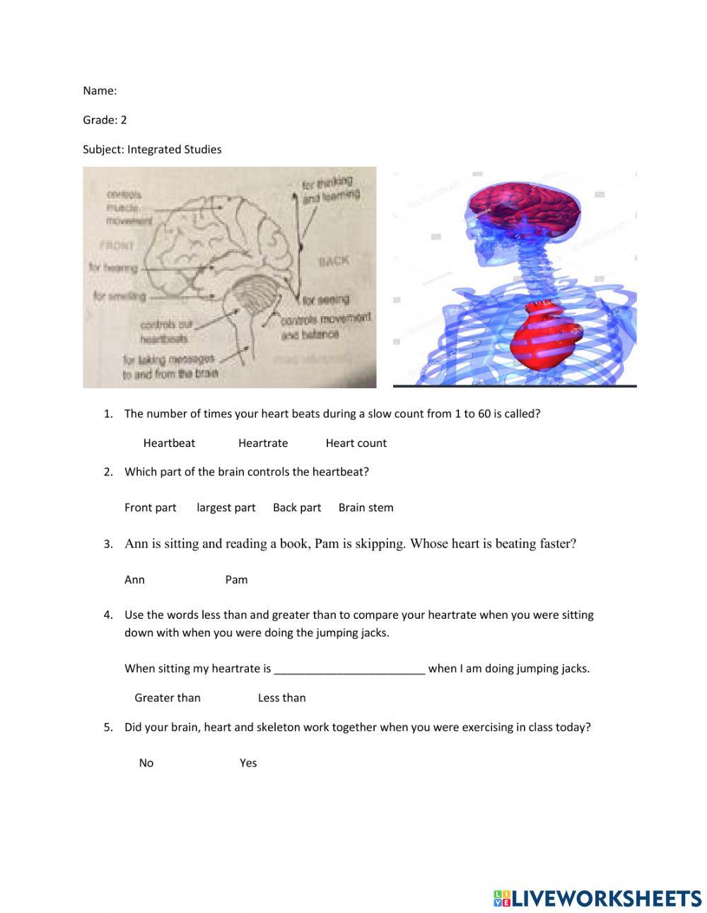 Body Parts working worksheet | Live Worksheets