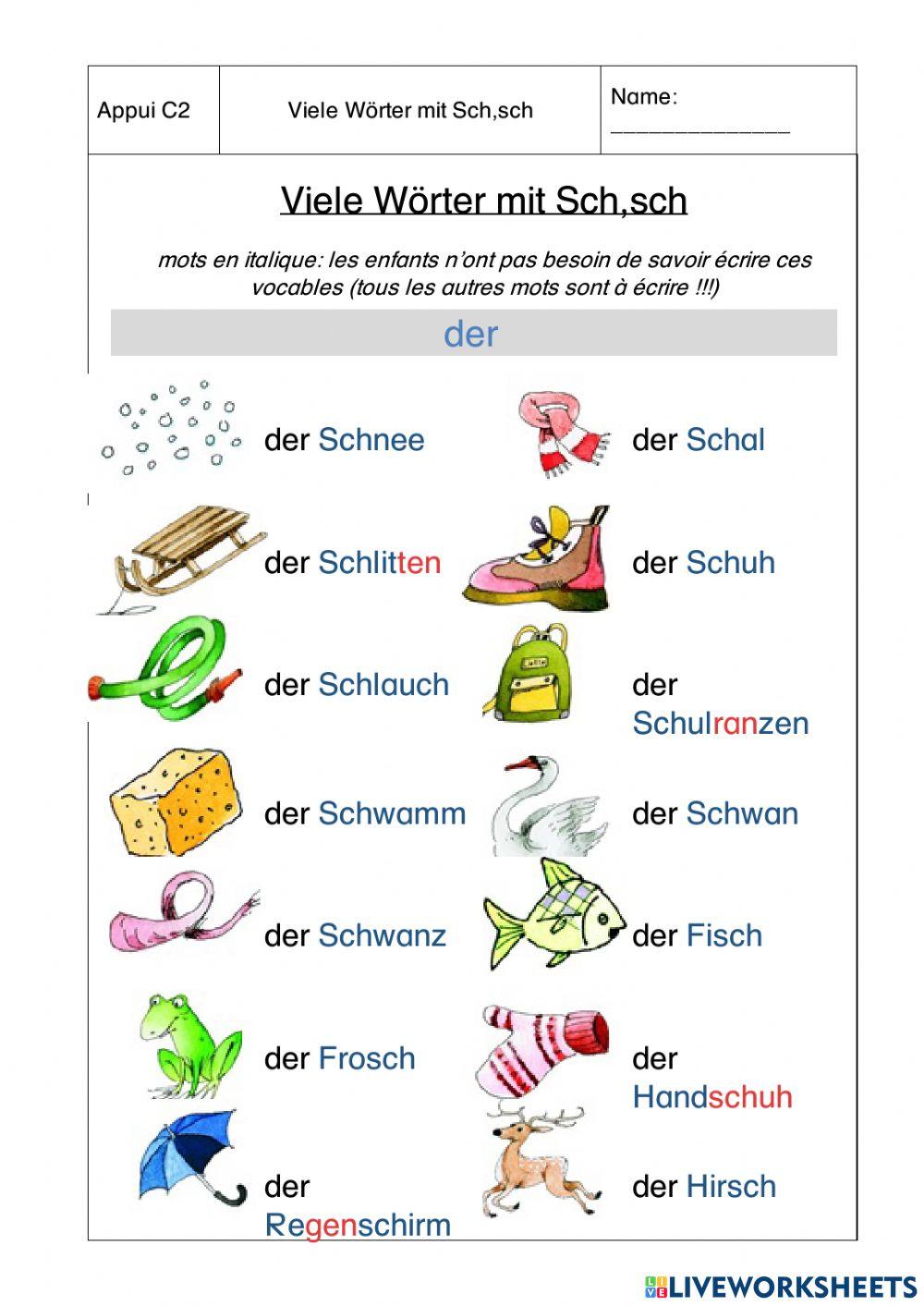 29 Wortschatz Sch worksheet | Live Worksheets
