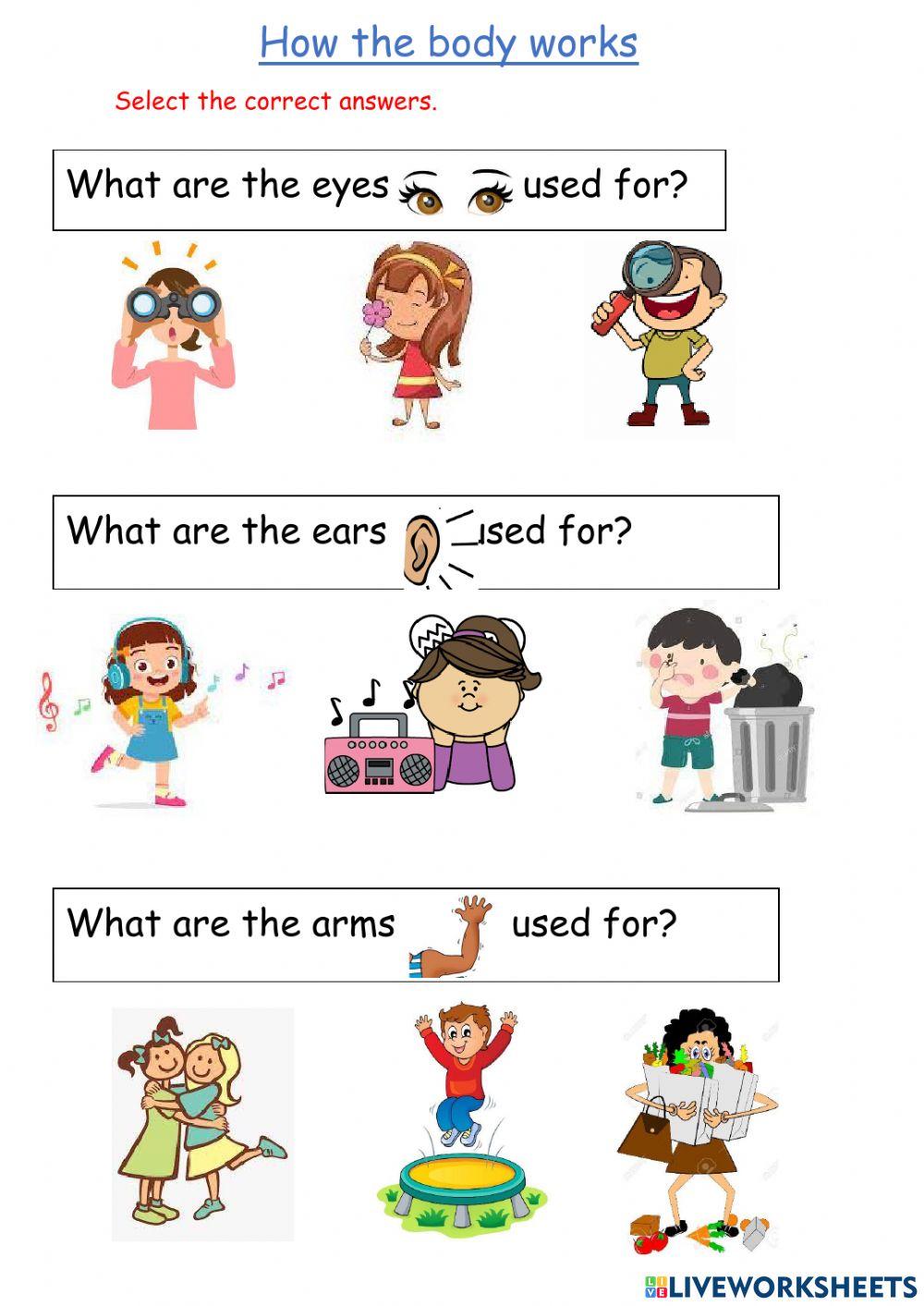 Upper body - How it works interactive worksheet | Live Worksheets