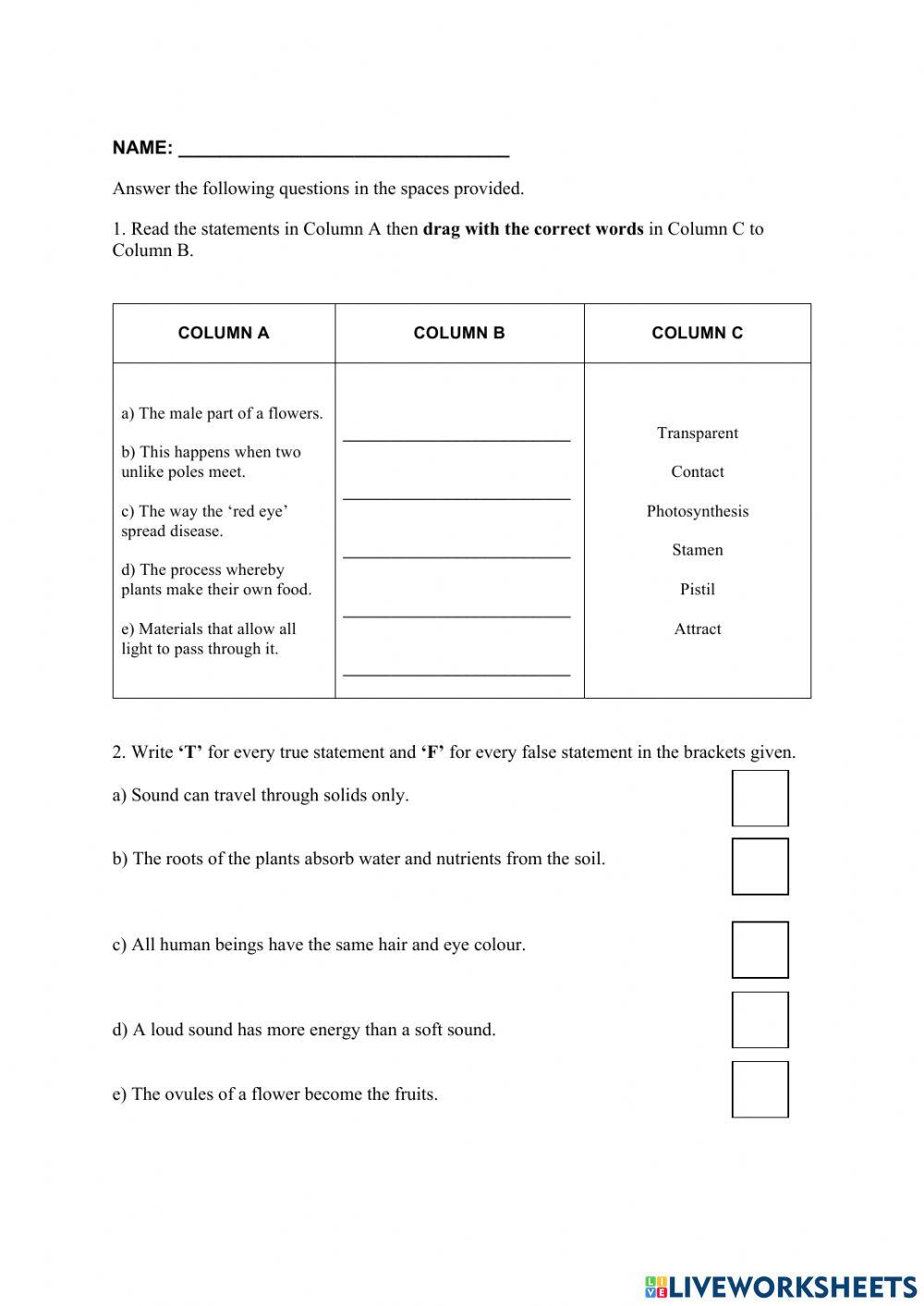 Topics YR5 1495551 | rosmega | Live Worksheets