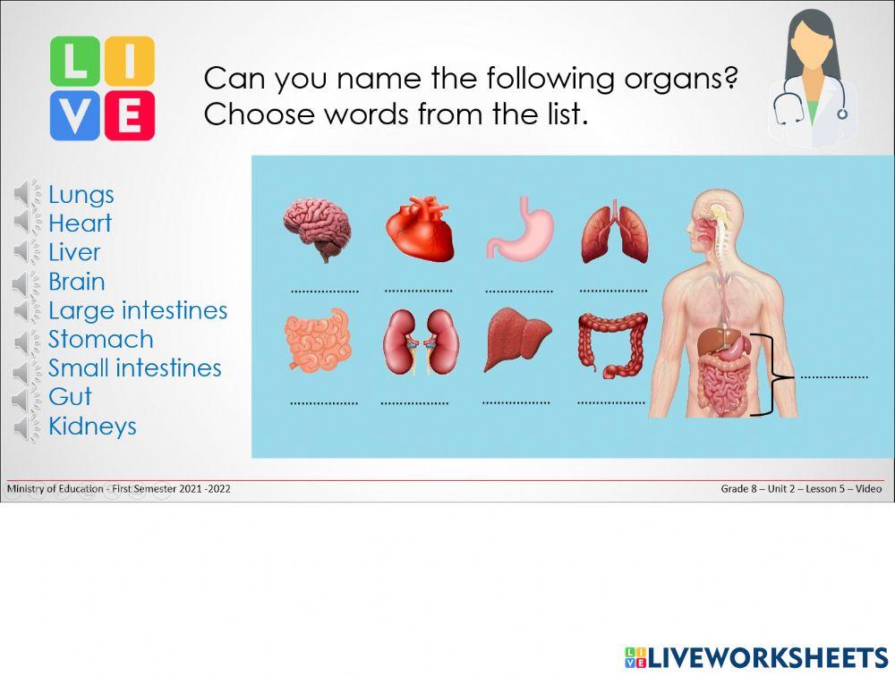 G8- U2- L5 -Video 0745 | Fatima Hamdan | Live