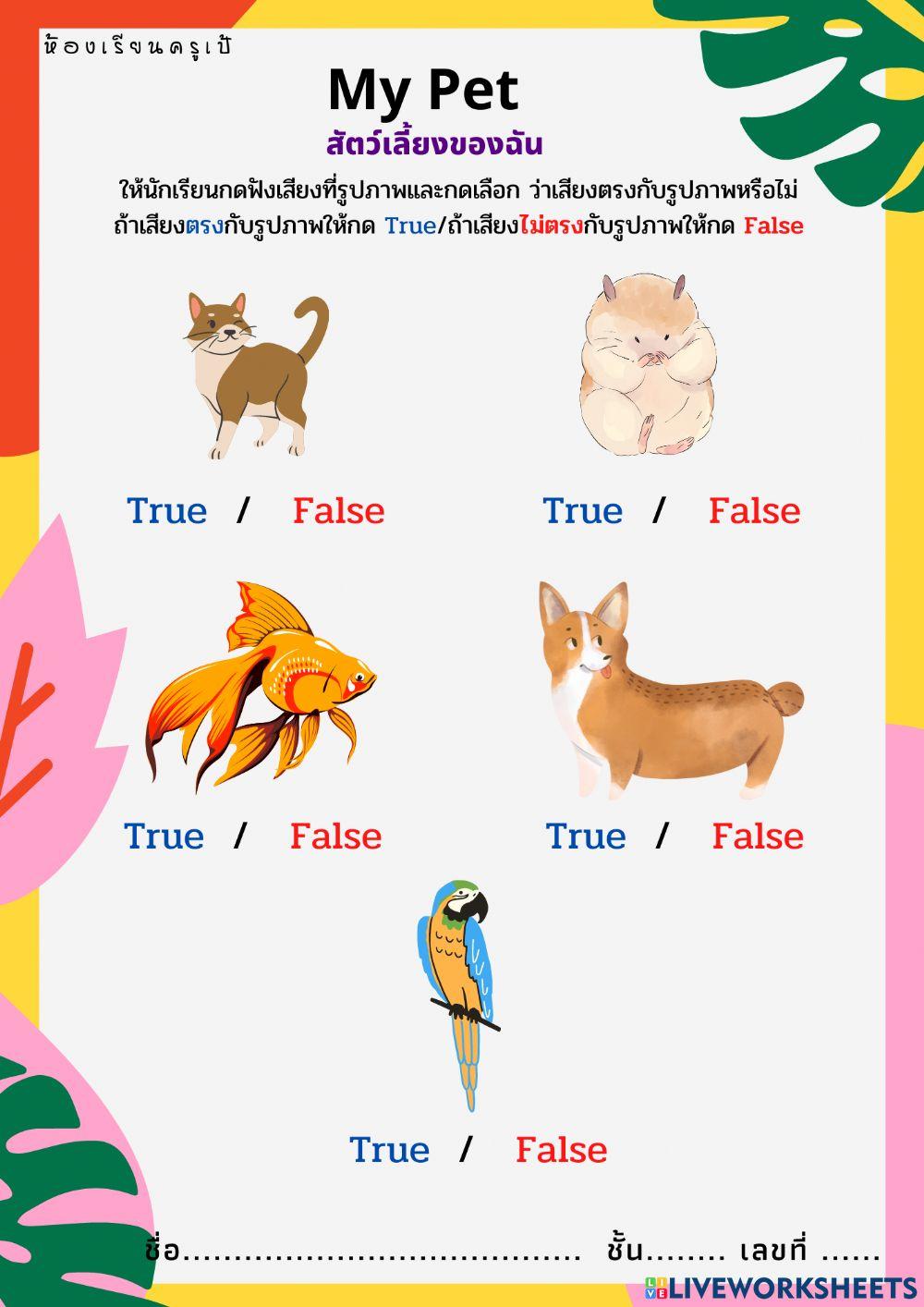 My pet online pdf worksheet | Live Worksheets