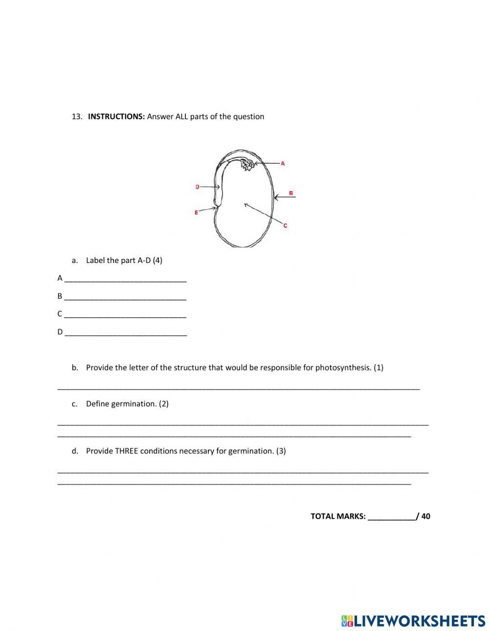 Grade 9 Unit Test- Classification online exercise for | Live Worksheets