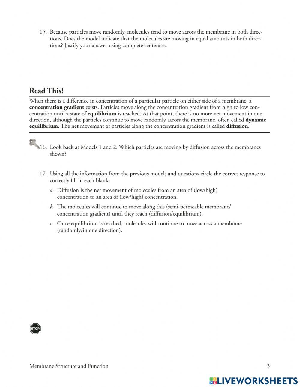 membrane structure and function pogil answer key