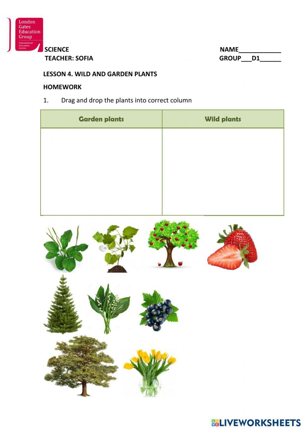 Garden and wild… | Free Interactive Worksheets | 1497751