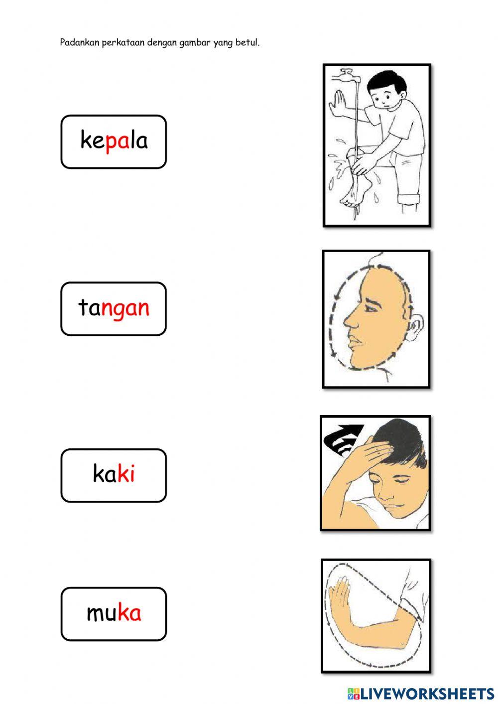 08102021 wuduk interactive worksheet | Live Worksheets