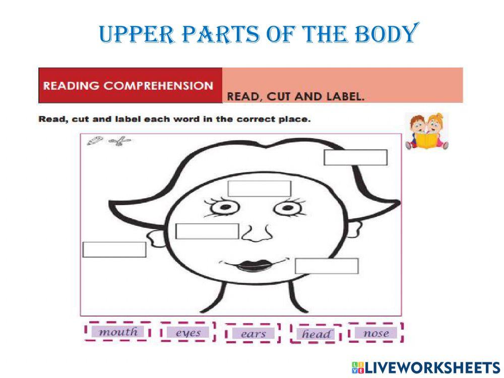 Upper body parts 1498500 | teacherNeris | Live