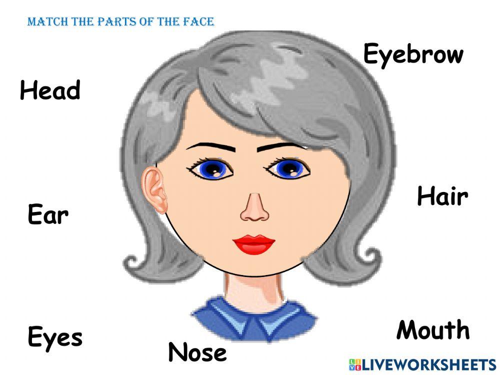 Upper body parts 1498500 | teacherNeris | Live