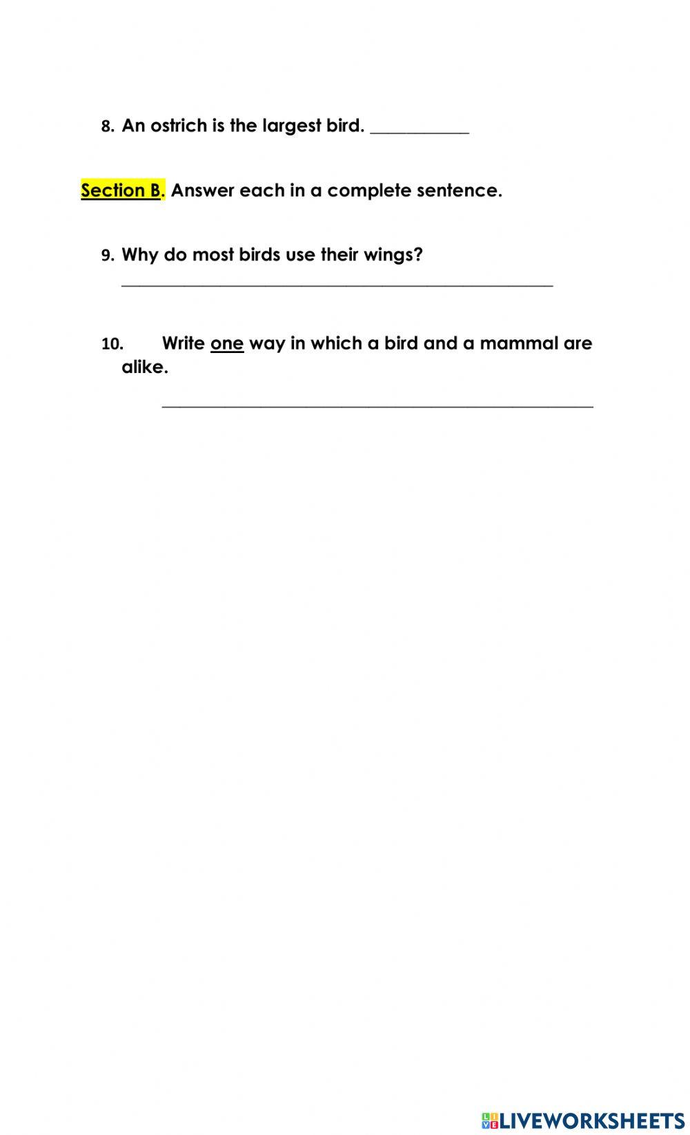 Birds homework worksheet | Live Worksheets