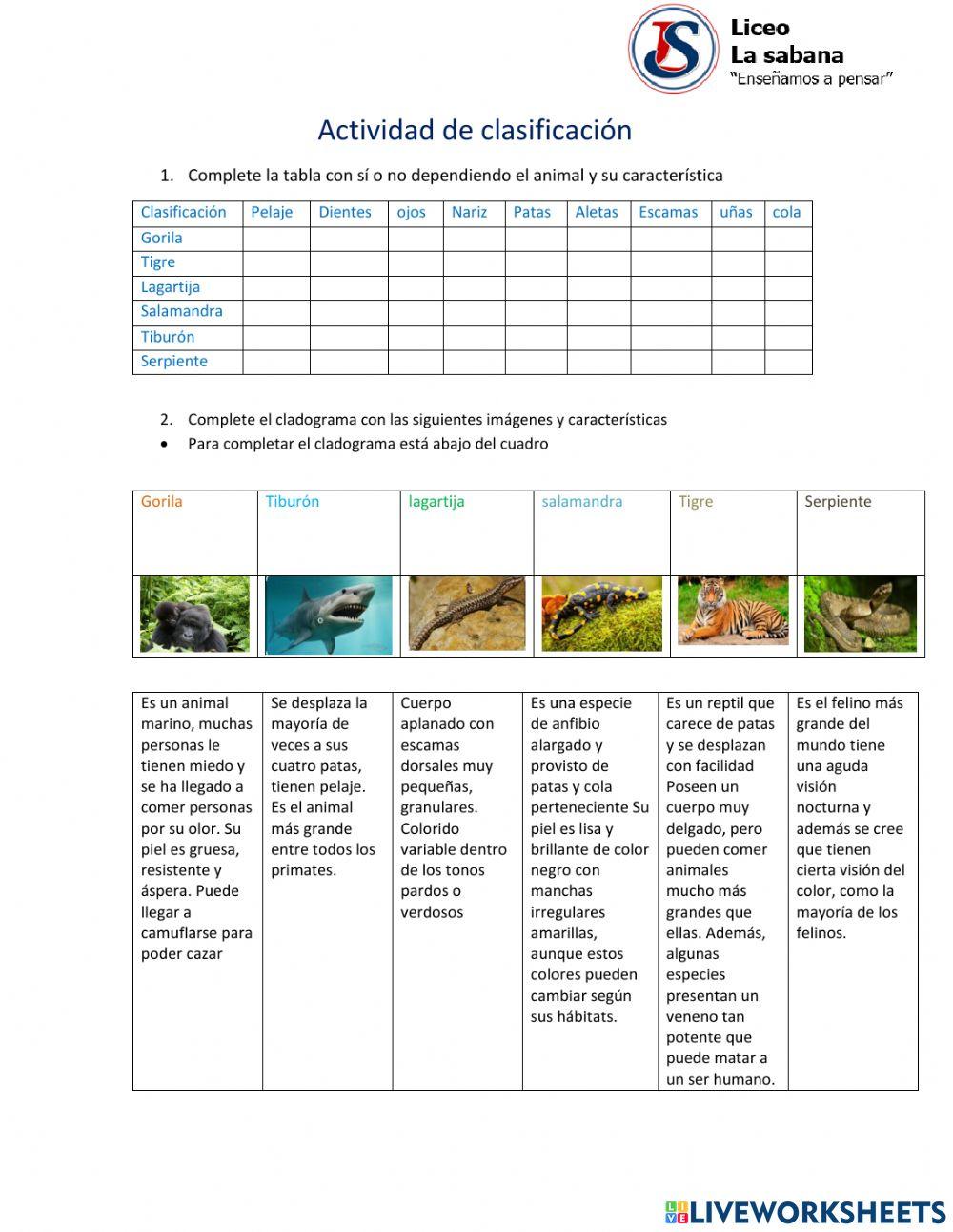 Cladograma | Free Interactive Worksheets | 1501926
