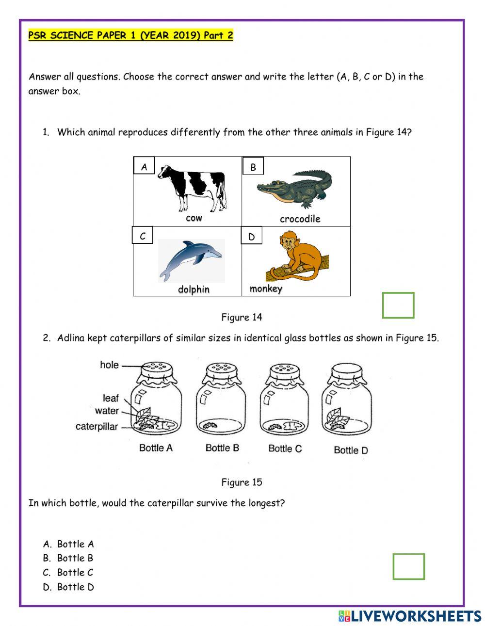 PSR Science Pap… | Free Interactive Worksheets | 1501973