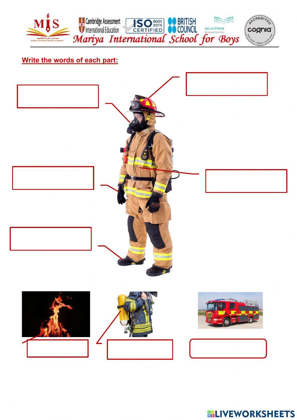 Week 6 Review worksheet | Live Worksheets