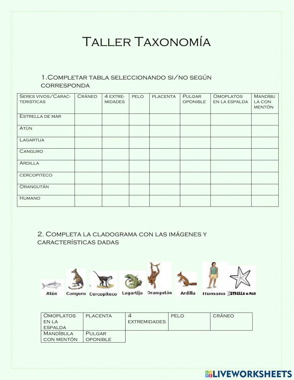 1502362 | Taller Taxonomia | szjc | LiveWorksheets