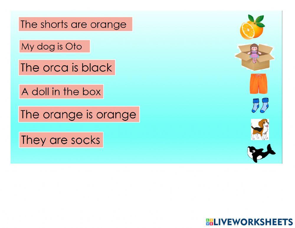 Phonics O sentences worksheet | Live Worksheets
