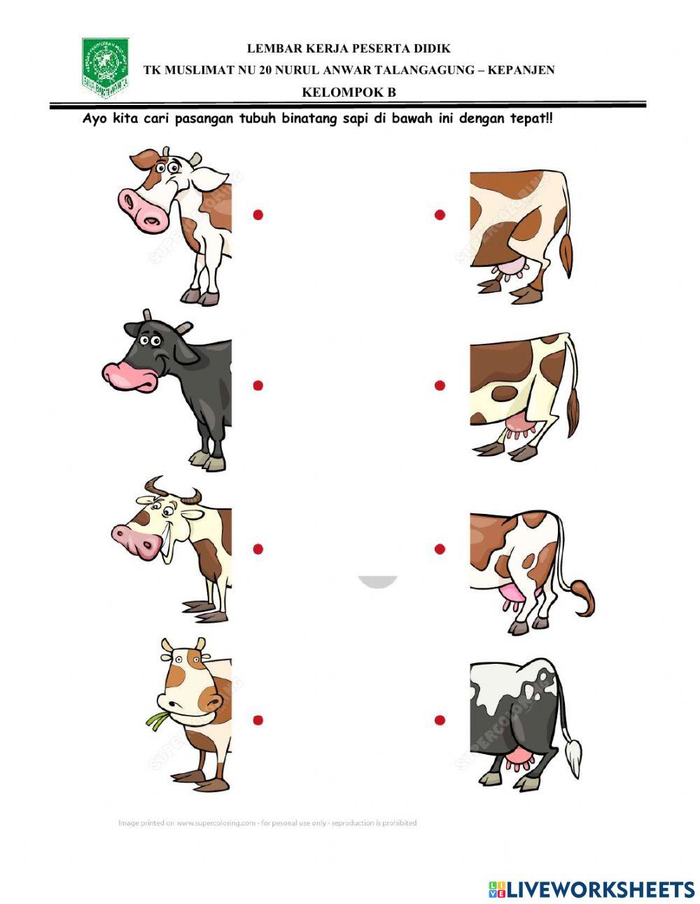 Binatang free activity | Live Worksheets