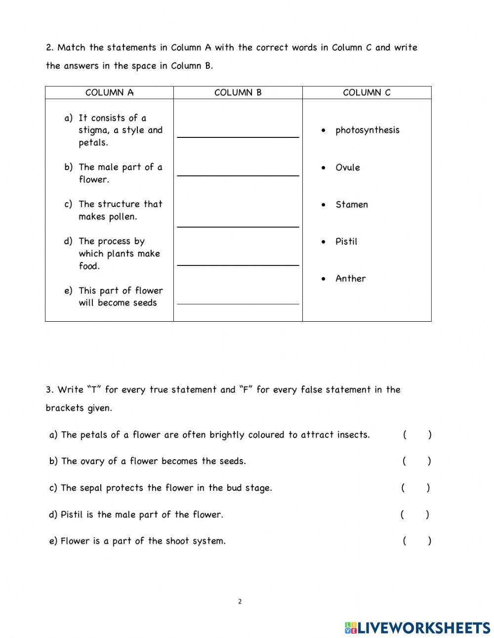 4270900 | The Shoot System - Flowers | amMaRa412
