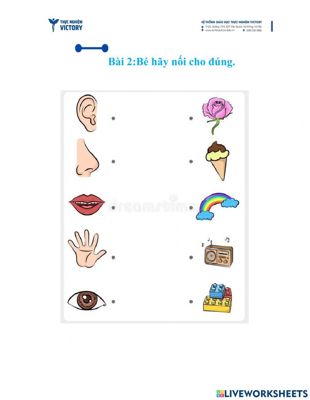 Pink science worksheet | Live Worksheets