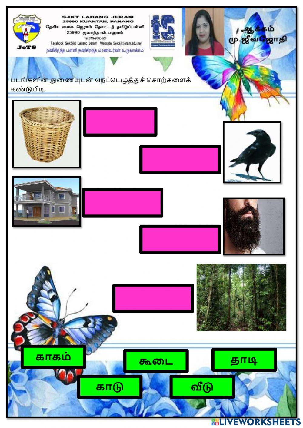 நெட்டெழுத்துச் சொற்கள் 1504874 | jeevajothi | Live