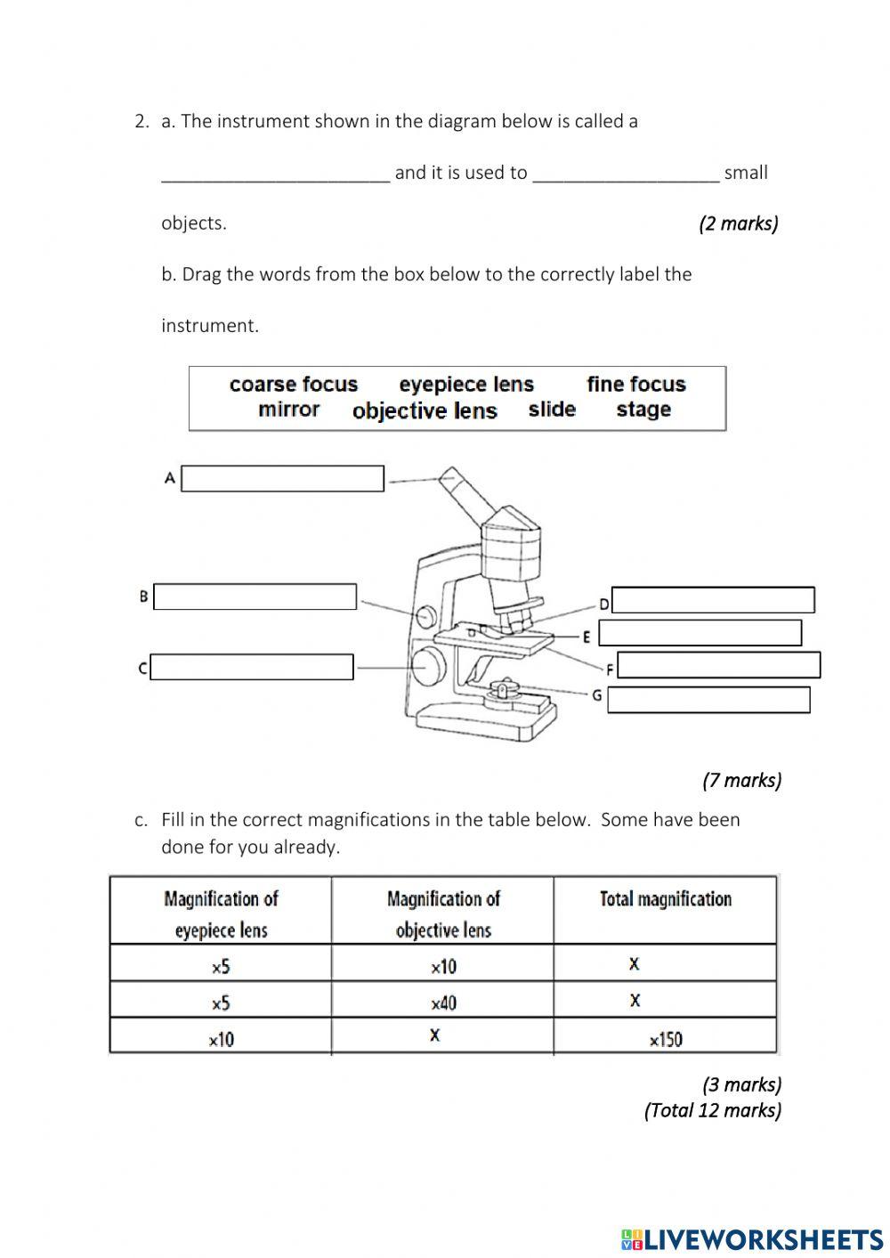 Year 7 Cells Te… | Free Interactive Worksheets | 1592547