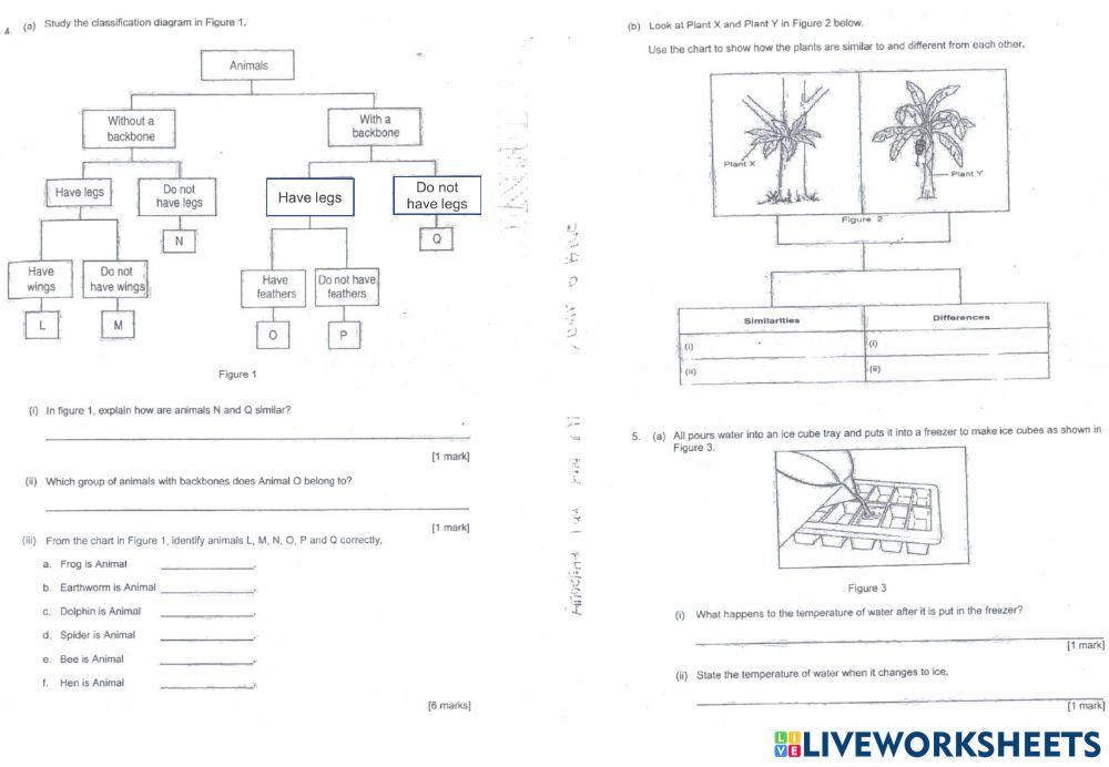 SCIENCE PSR YEAR 2015 PAPER 2 4031969 | KhalSu_lisa