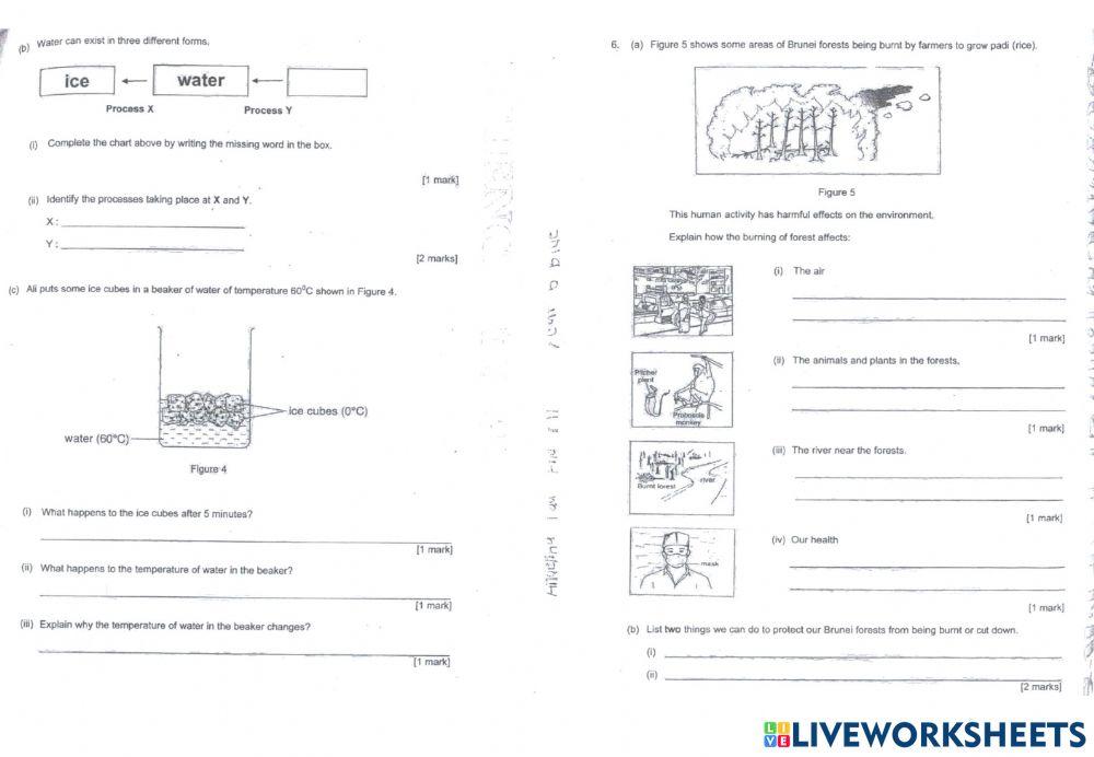 SCIENCE PSR YEAR 2015 PAPER 2 4031969 | KhalSu_lisa