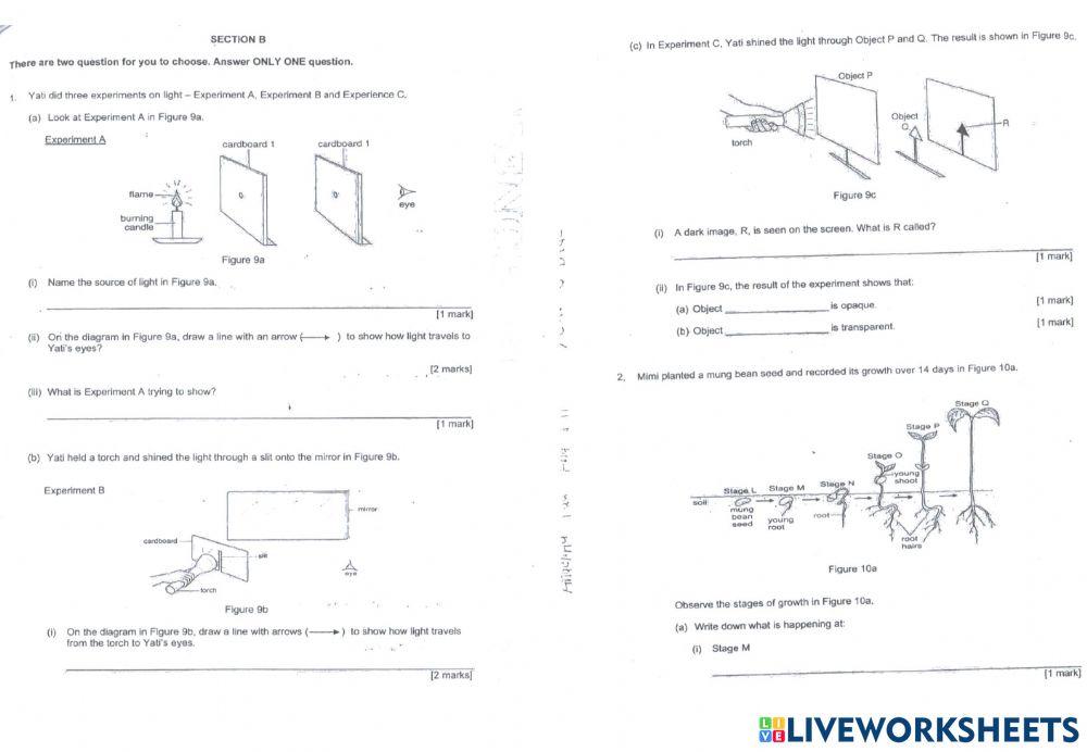 SCIENCE PSR YEAR 2015 PAPER 2 4031969 | KhalSu_lisa