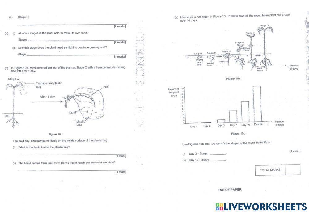 SCIENCE PSR YEAR 2015 PAPER 2 4031969 | KhalSu_lisa