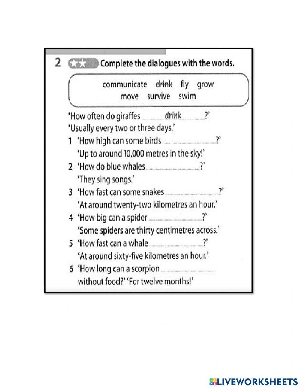 Verb animals worksheet | Live Worksheets