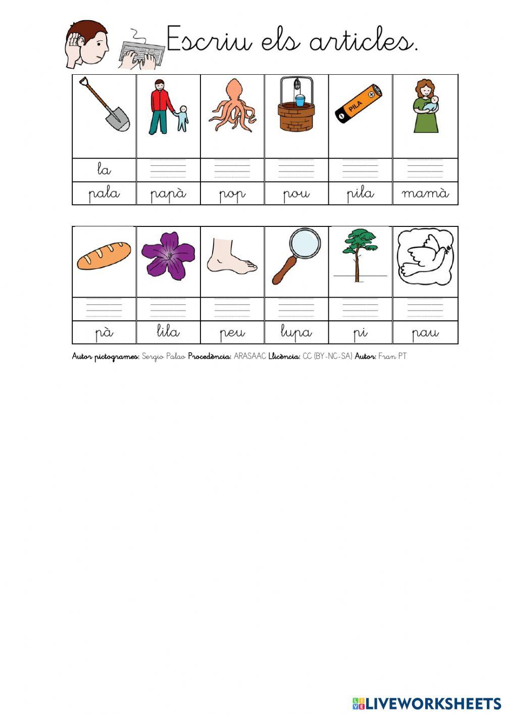 Els articles masculí i femení. (primeres lletres). worksheet | Live ...