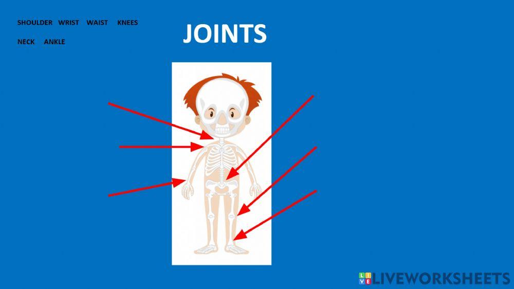 Joins 1º Online Exercise For Live Worksheets