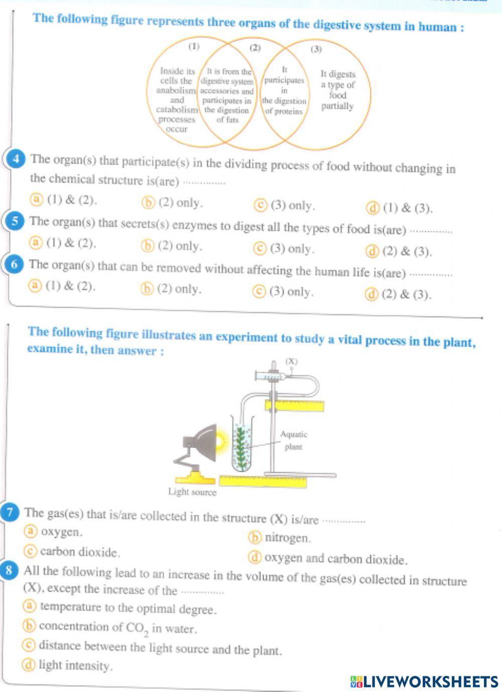 Biology interactive exercise for 11 | Live Worksheets