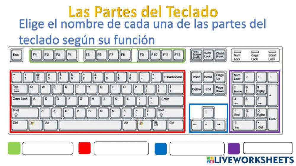 Partes Del Teclado Interactive Activity For 1°grado Live Worksheets