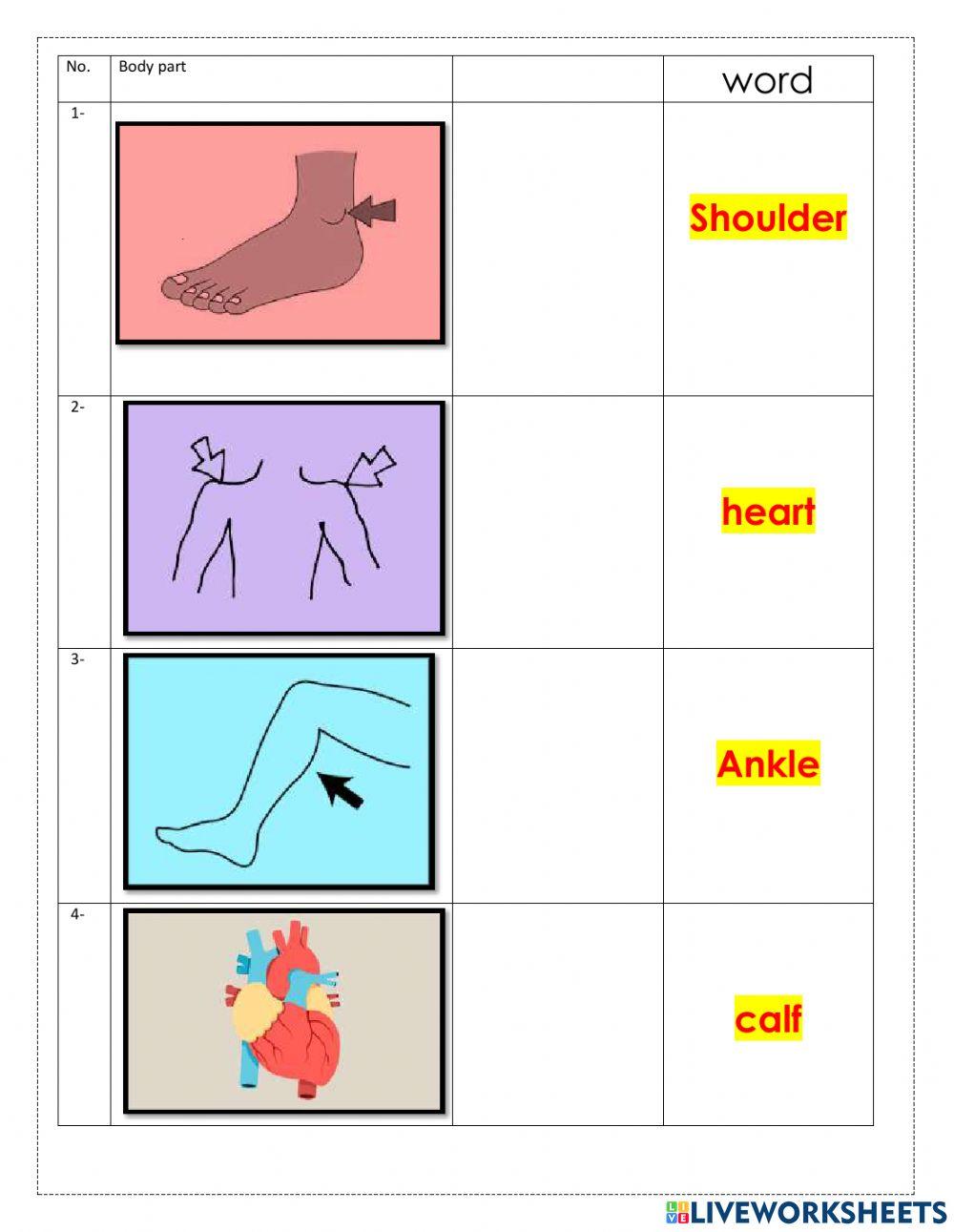 Body parts online exercise for pre-intermediate | Live Worksheets