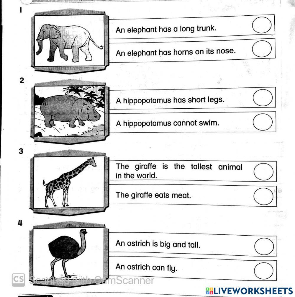The World Aroun… | Free Interactive Worksheets | 3476208