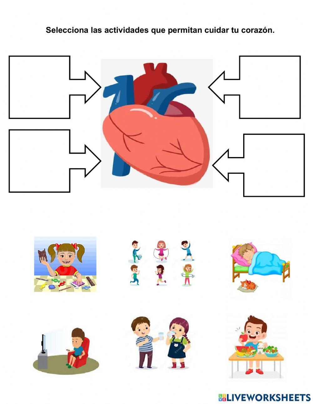 actividades para cuidar el corazón 6772021 | Isaura1684