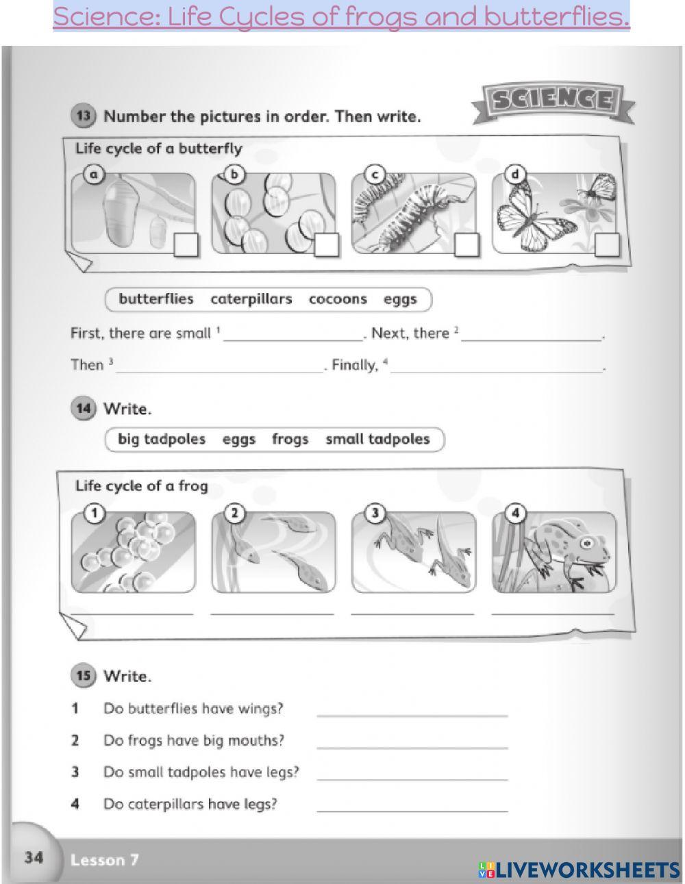 Science: Life cycles of animals 6772223 | ljbyrom