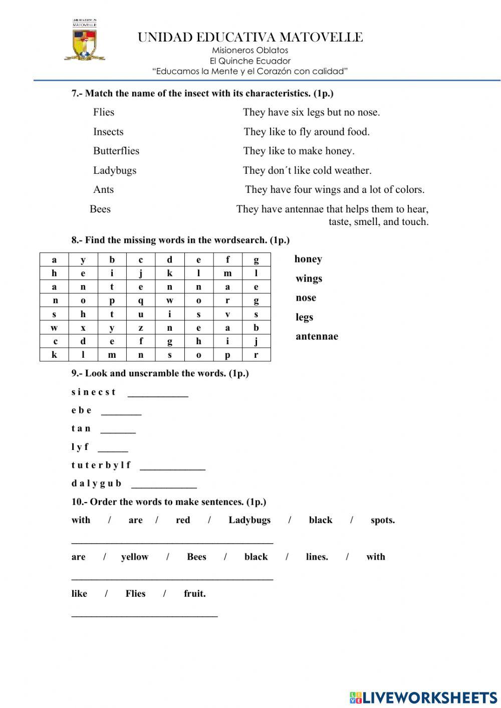 First partial evaluation 5238080 | Evelyn Alexandra Icaza